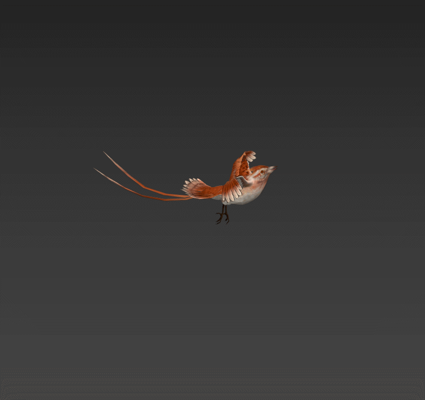 Flying Birds Animal Series 3d Model max fbx | 82Models