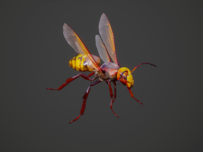 Wasp Wasp 3d Model fbx max tbscene | 82Models