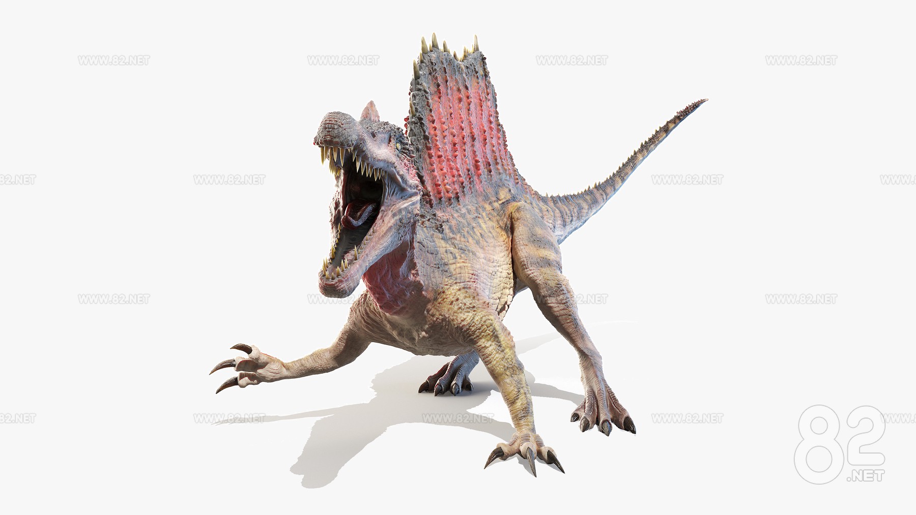 Spinosaurus (with animation) 3d Model max | 82Models