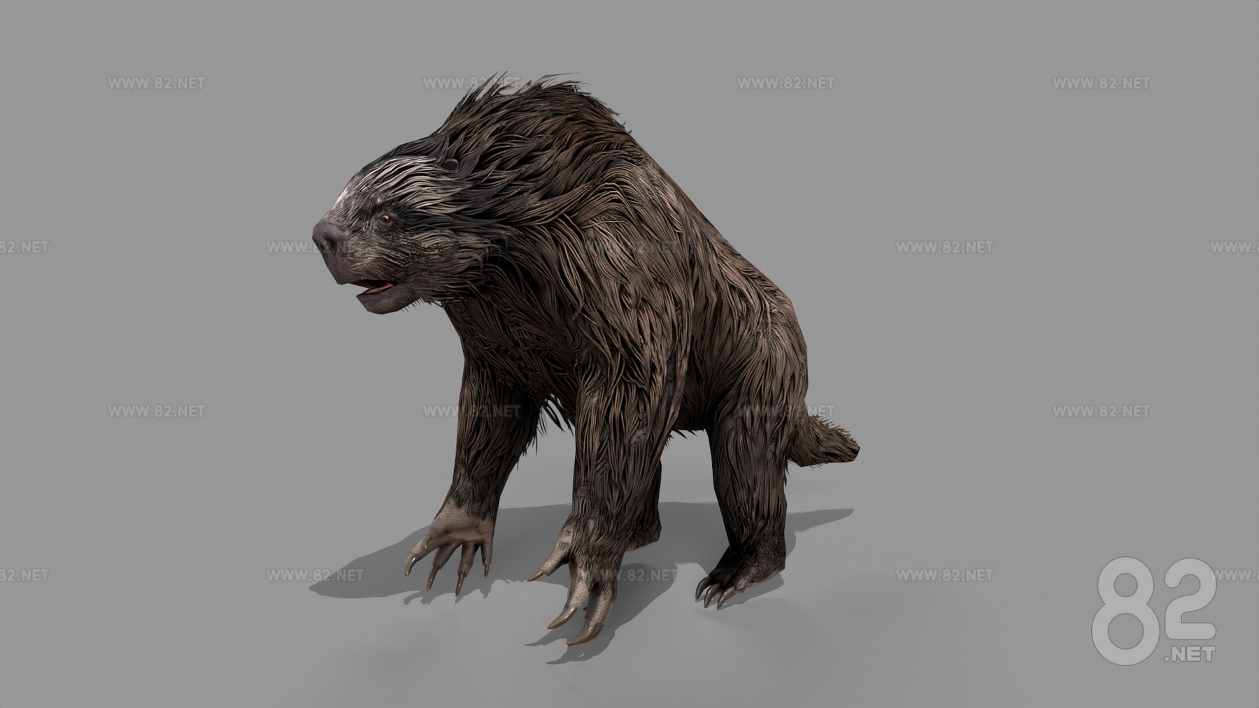 Giant Claw Lazy Poor Tooth 3d Model tbscene fbx max obj | 82Models