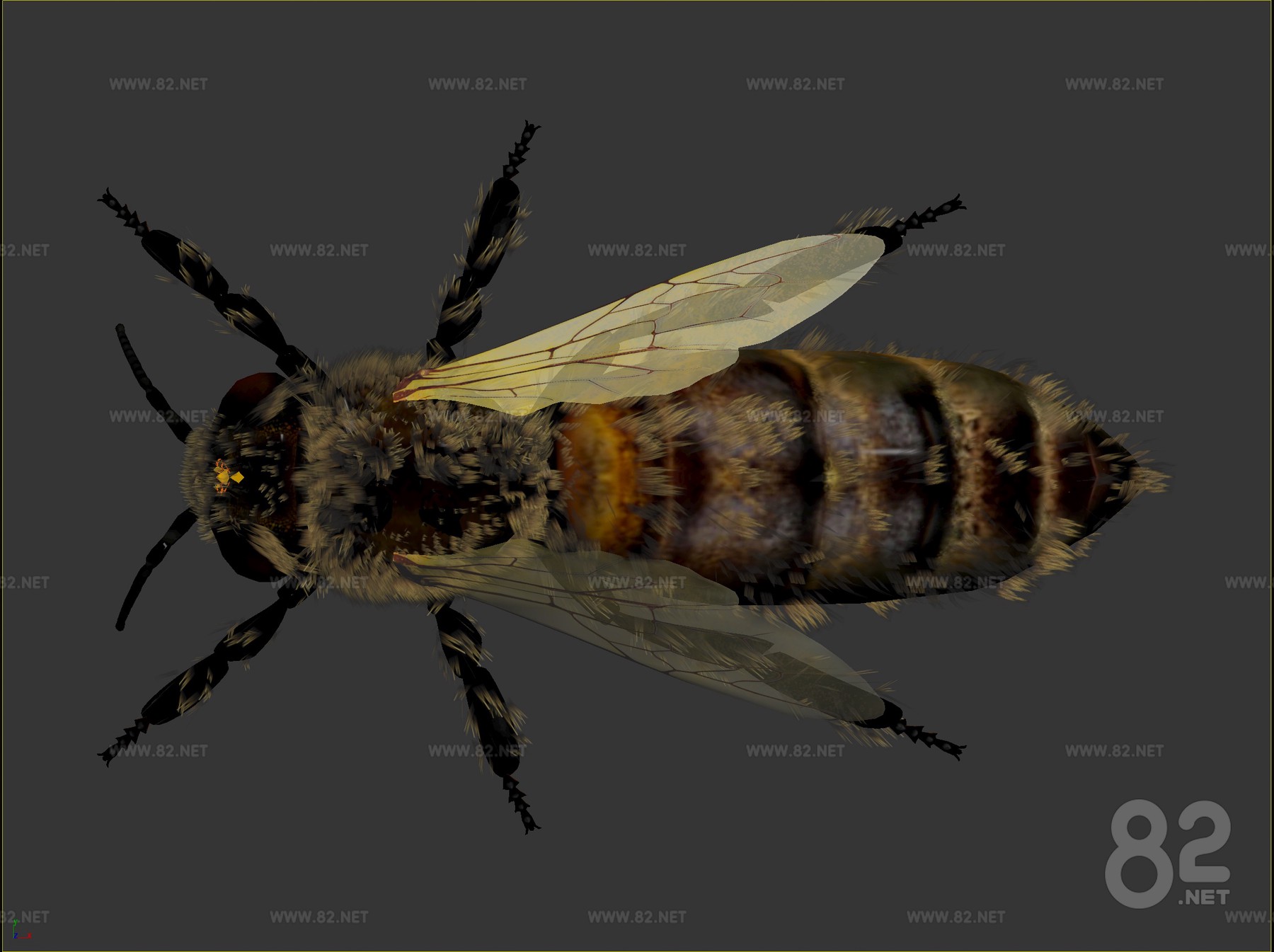 queen bee queen bee 3d Model max | 82Models