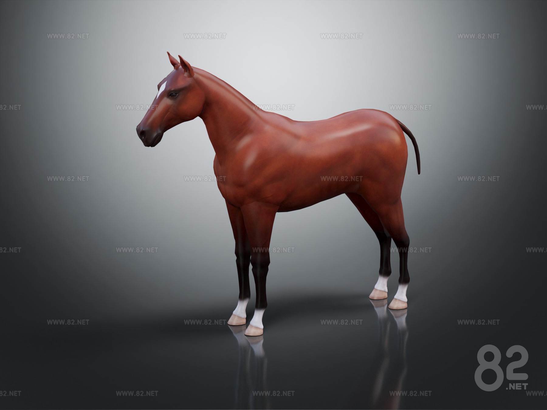 Ma Da Ma 3d Model max | 82Models