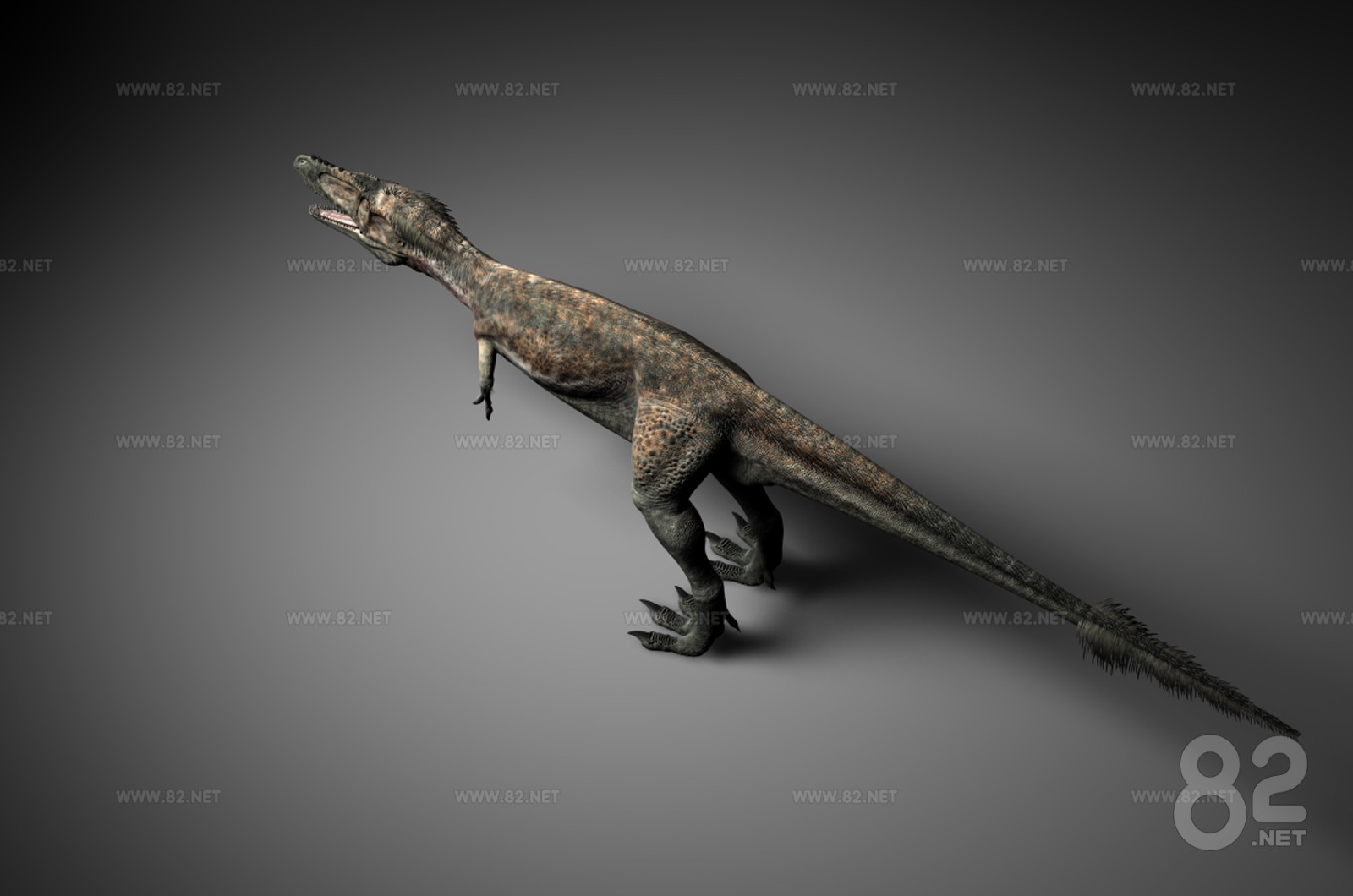 22 high quality Dinosaur Model Collection Tyrannosaurus 3d Model max ...