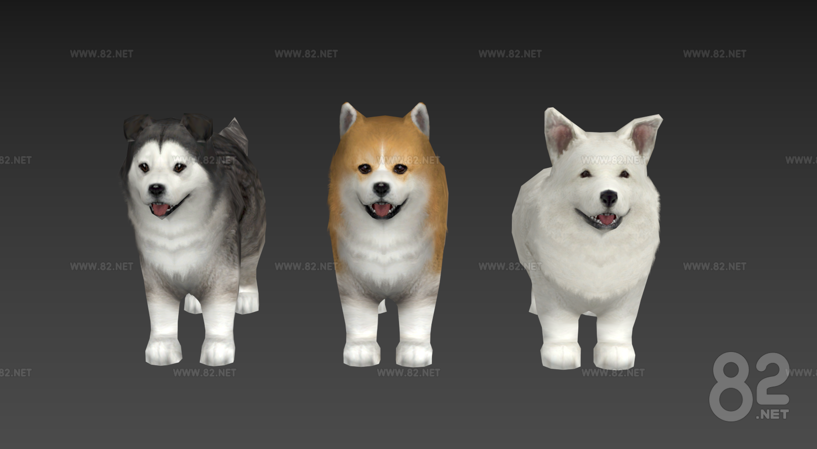 Realistic Dog Mammals 3d Model max | 82Models