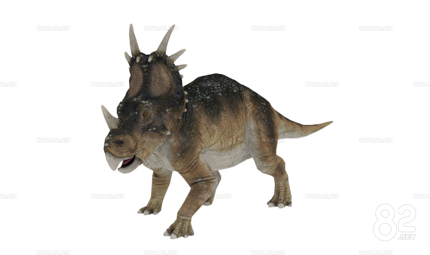Triceratops dinosaur 3d Model fbx | 82Models