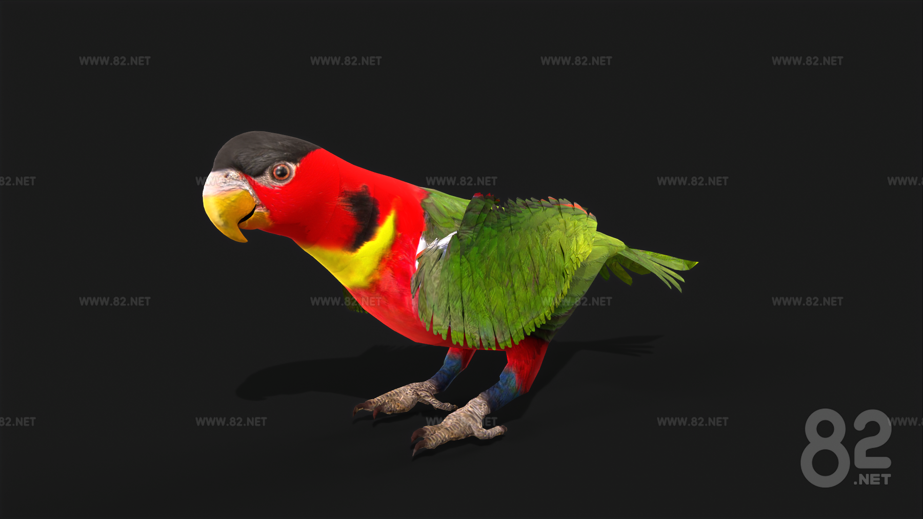 [Bound Animation] Yellow Collar Honey Parrot Parrots 3d Model tbscene ...