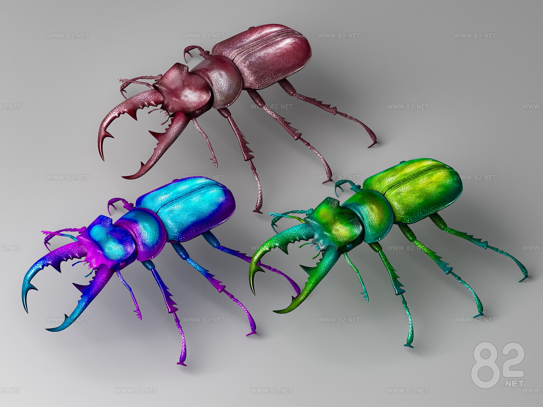 tricolor beetle insect 3d Model max | 82Models