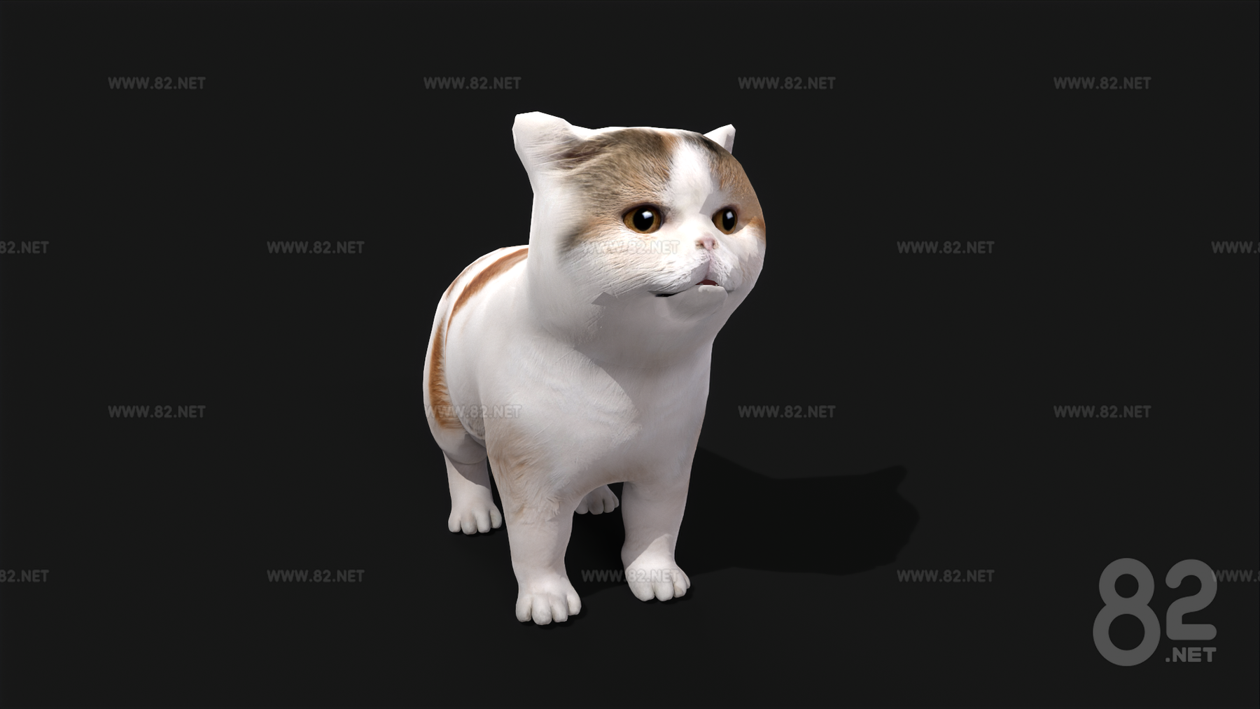 [Bound animation] exotic short-haired cat pet cat 3d Model tbscene ...