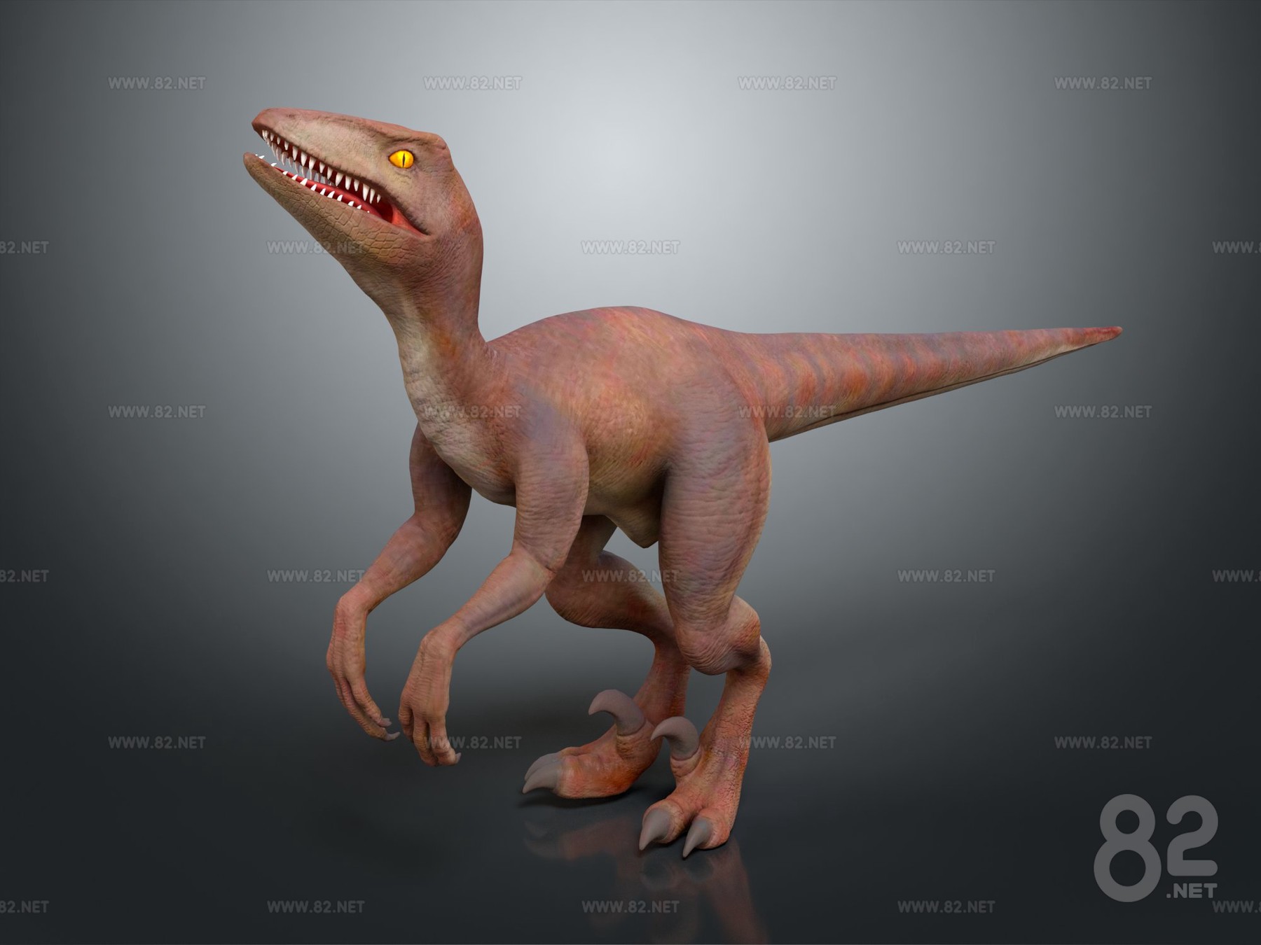 Velociraptor Raptor 3d Model max | 82Models