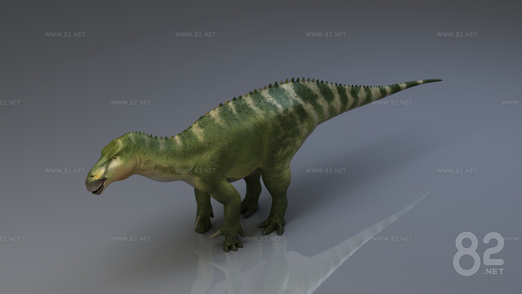 Avian dragon ancient creatures 3d Model 贴图 max fbx | 82Models