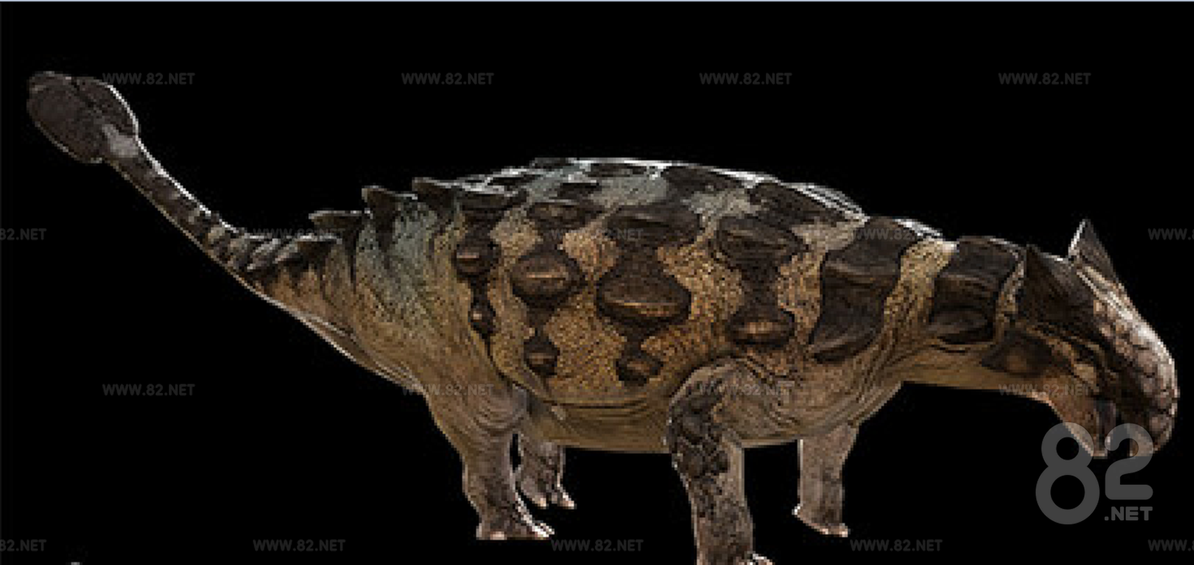 Cretaceous great-faced angylosaurus 3d Model c4d | 82Models