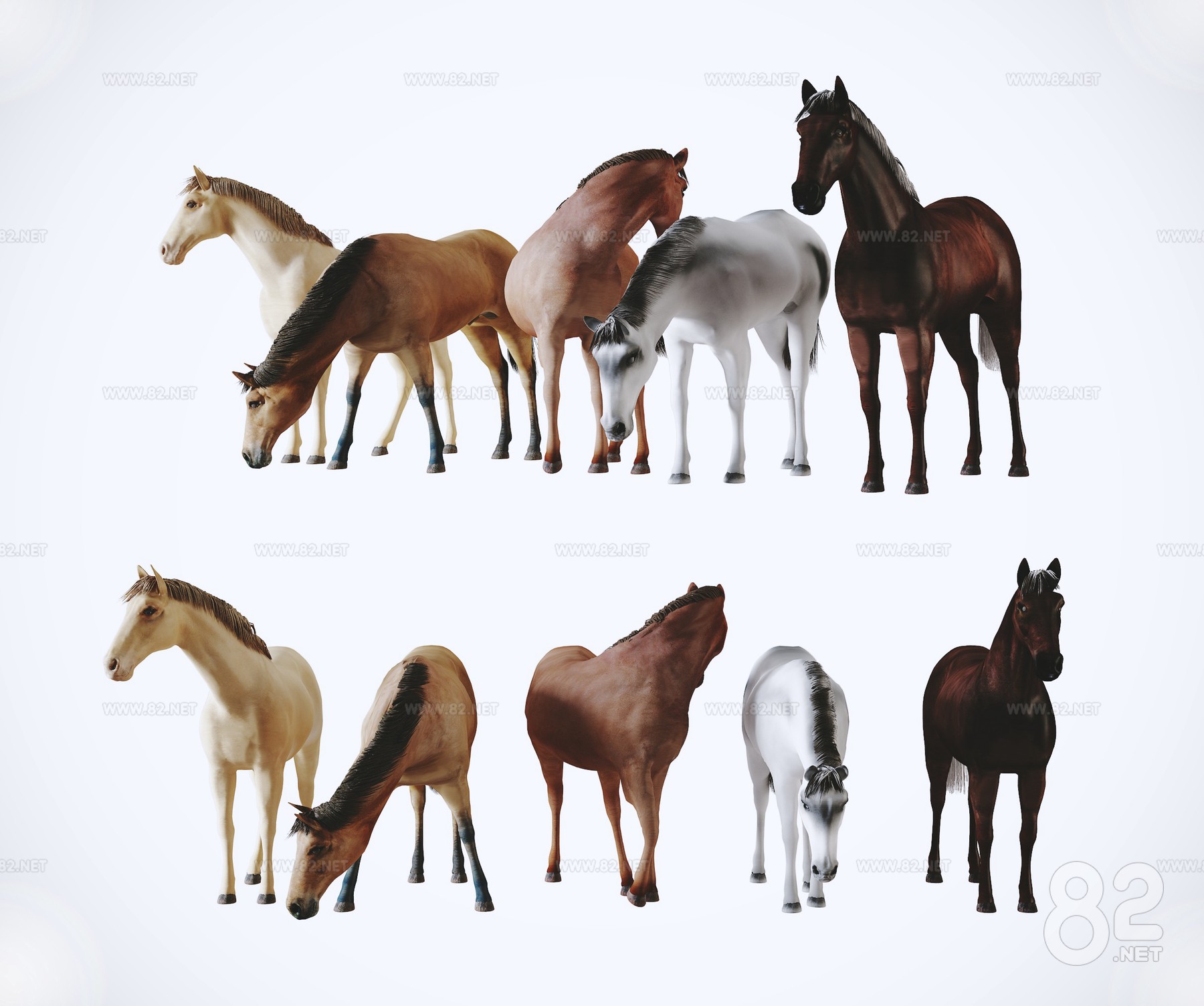 Steed Horse 3d Model max | 82Models