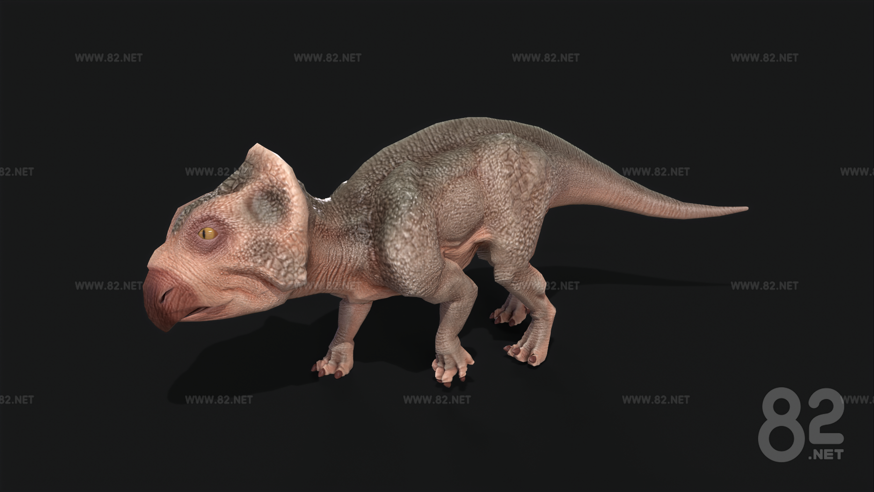 [Bound Animation] Horn Dinosaur 3d Model tbscene blend fbx other max ...
