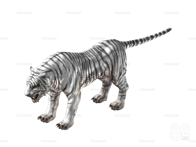 White Tiger Game Model 3d Model fbx | 82Models