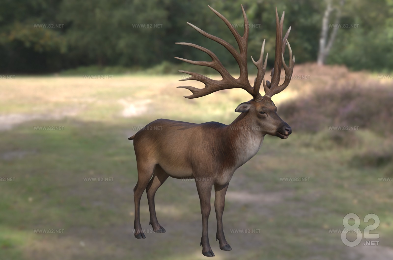 True Branch Horned Deer True Branch Horned Beast 3d Model max | 82Models