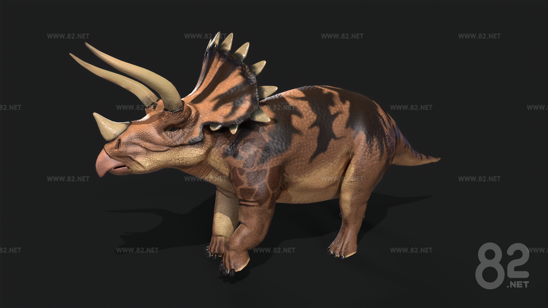 [Bound animation] Triceratops dinosaur 3d Model tbscene blend fbx other ...