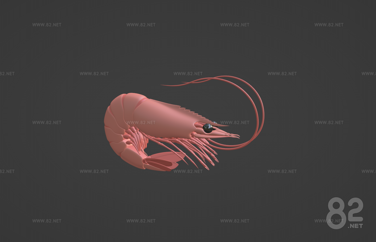 Shrimp Red Shrimp 3d Model blend | 82Models