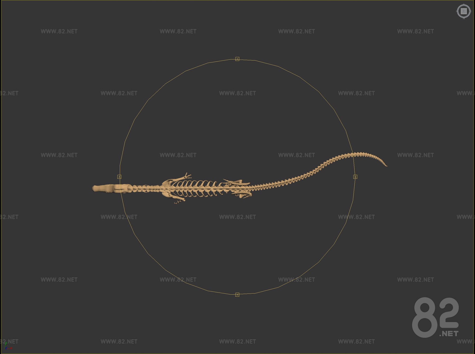 Spinosaurus fossil Spinosaurus fossil 3d Model max | 82Models