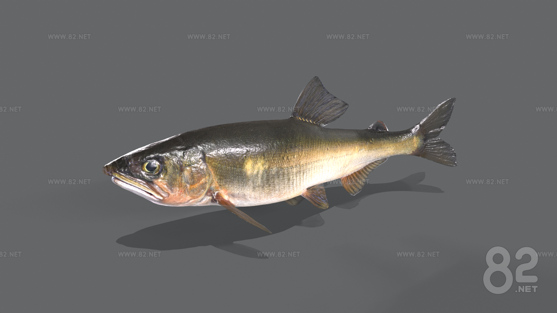 [binding animation] fragrant fish fish animals 3d Model tbscene blend ...