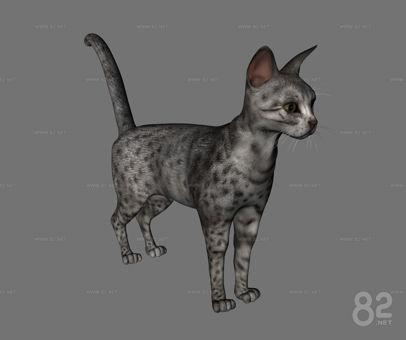 Cat Persian Cat 3d Model c4d | 82Models
