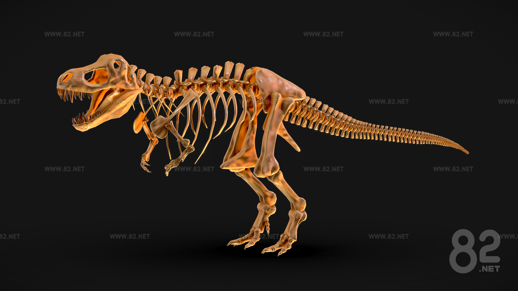 Cartoon Dinosaur Fossil Tyrannosaurus Rex Bones 3d Model fbx max obj ...