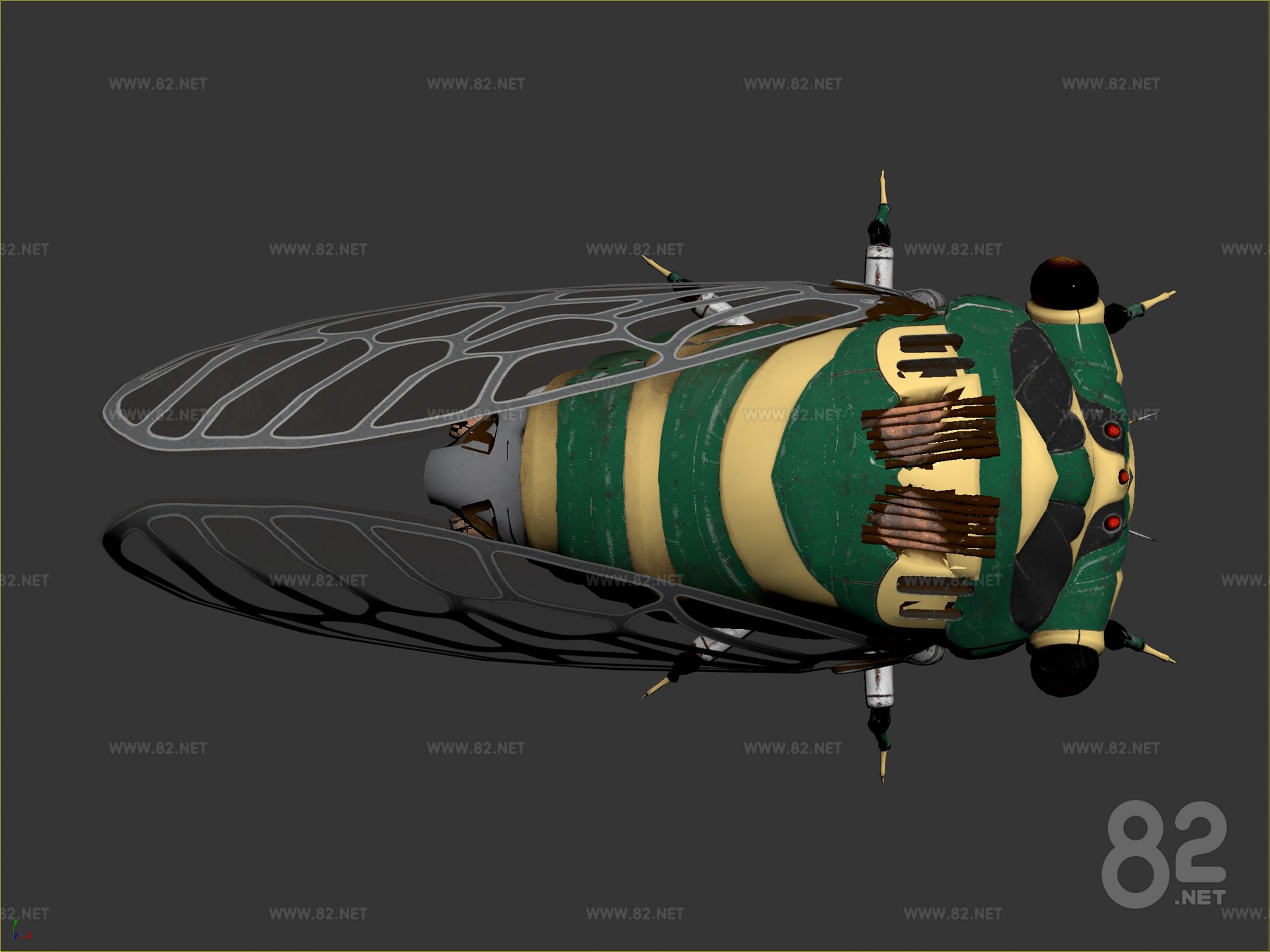 cicada cicada 3d Model max | 82Models