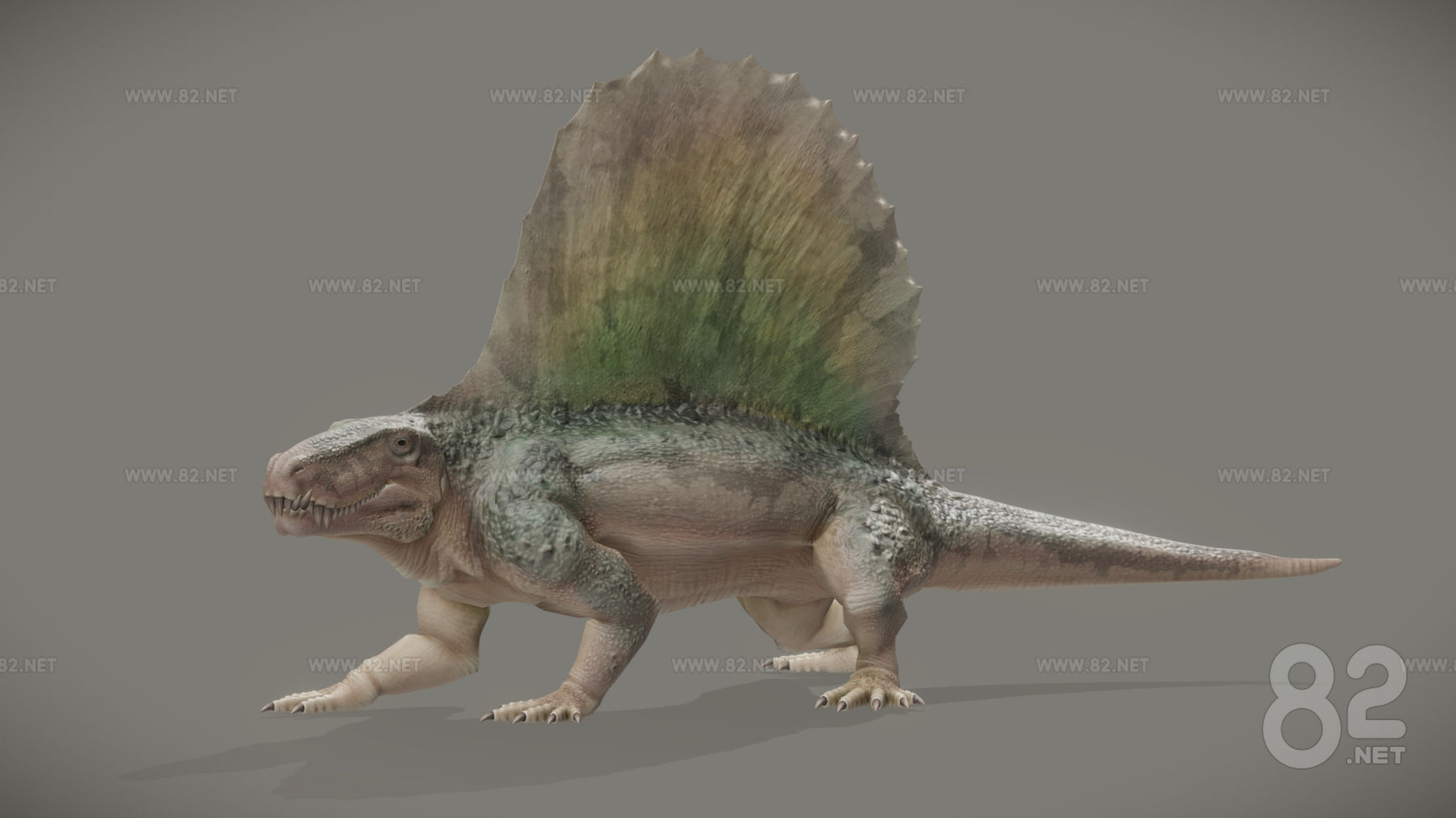 Heterodentosaurus 3d Model ma/mb | 82Models