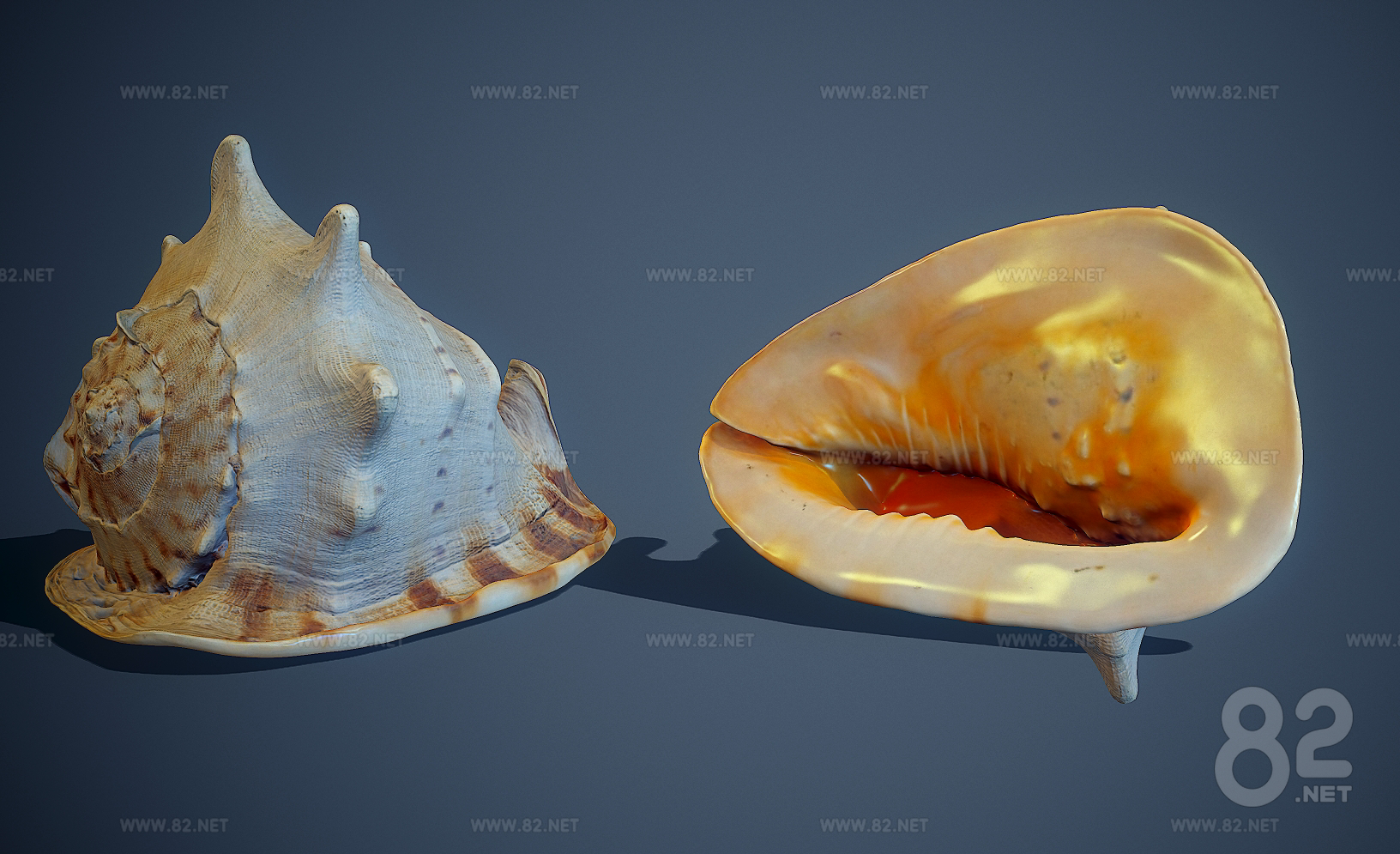 Giant Shell 3d Model ma/mb | 82Models