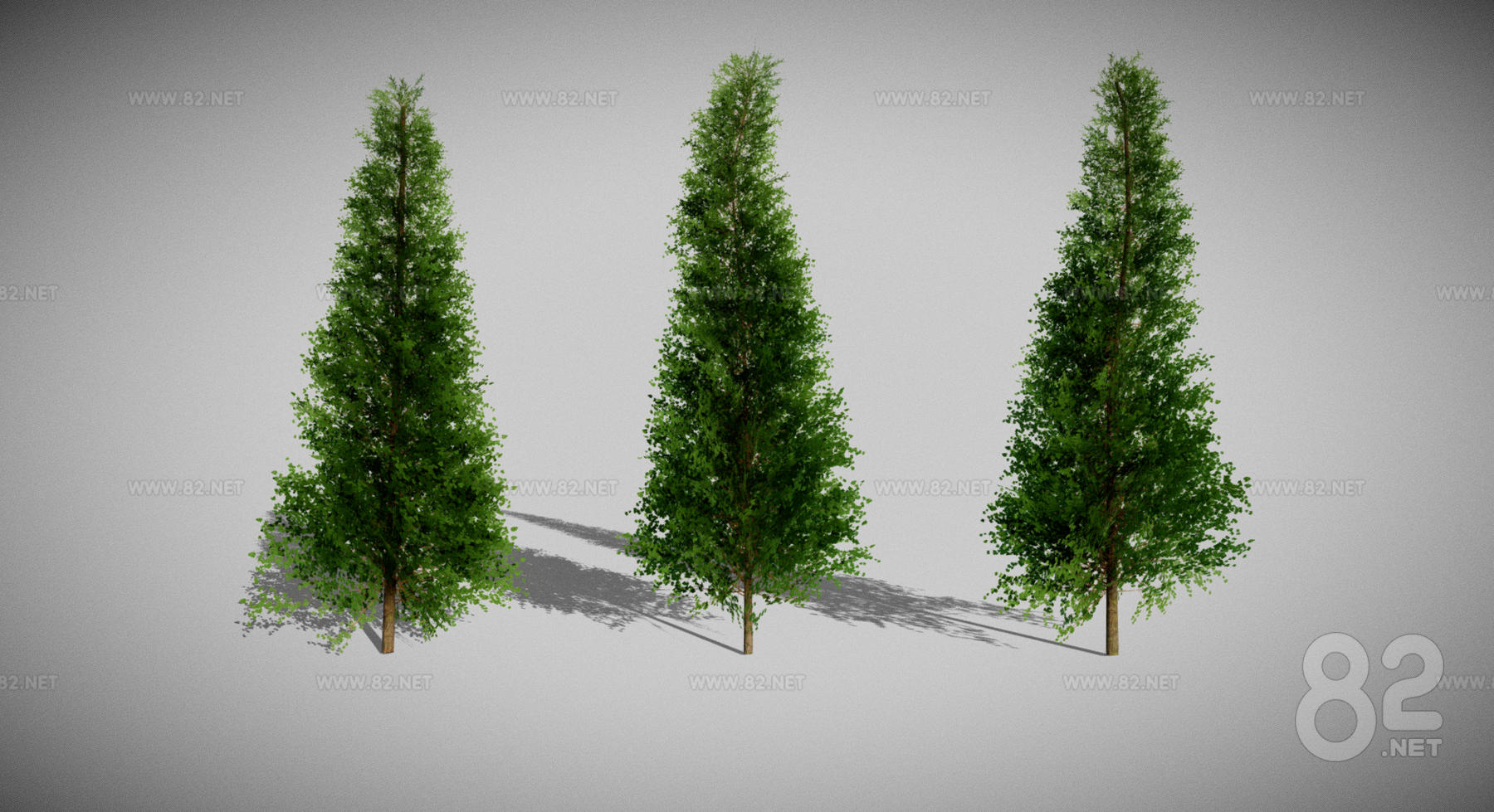pine fir tree 3d Model blend fbx max ma/mb obj texture | 82Models