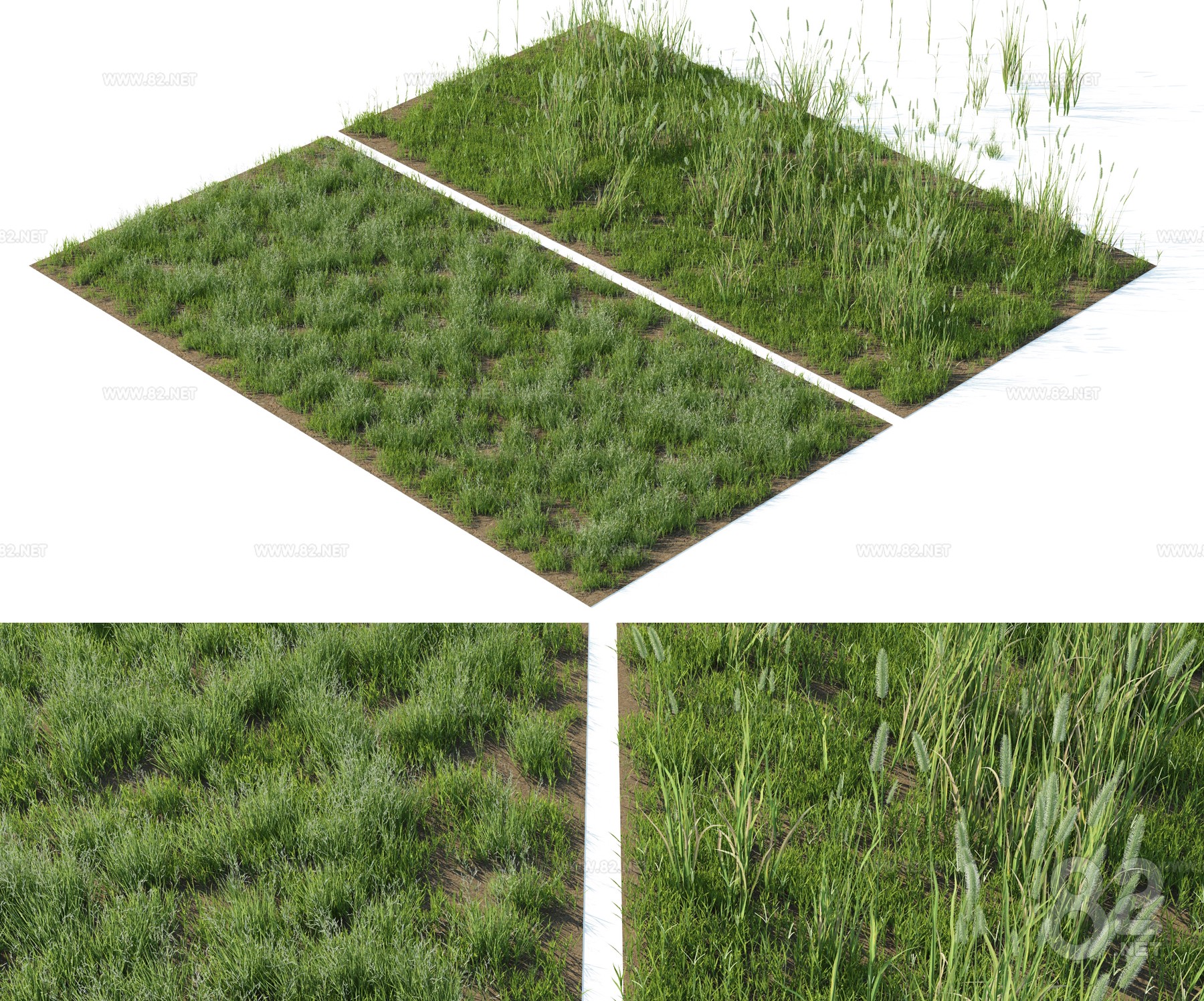modern grassland lawn vegetation 3d Model max | 82Models