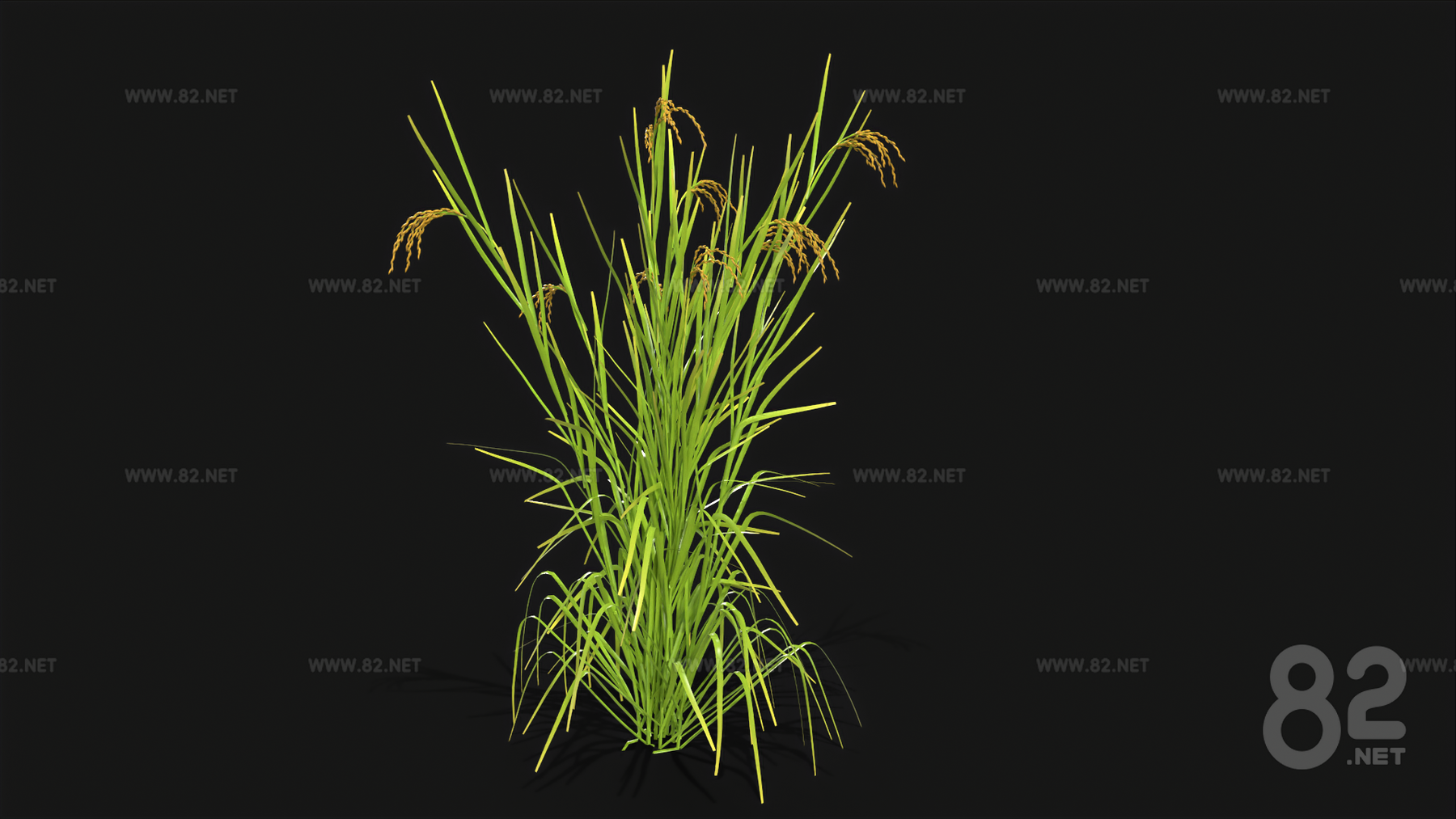 Rice Rice 3d Model tbscene fbx max ma/mb obj | 82Models