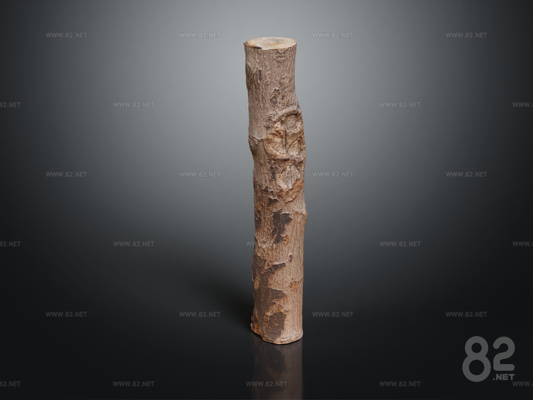 Tree Section Log 3d Model max | 82Models