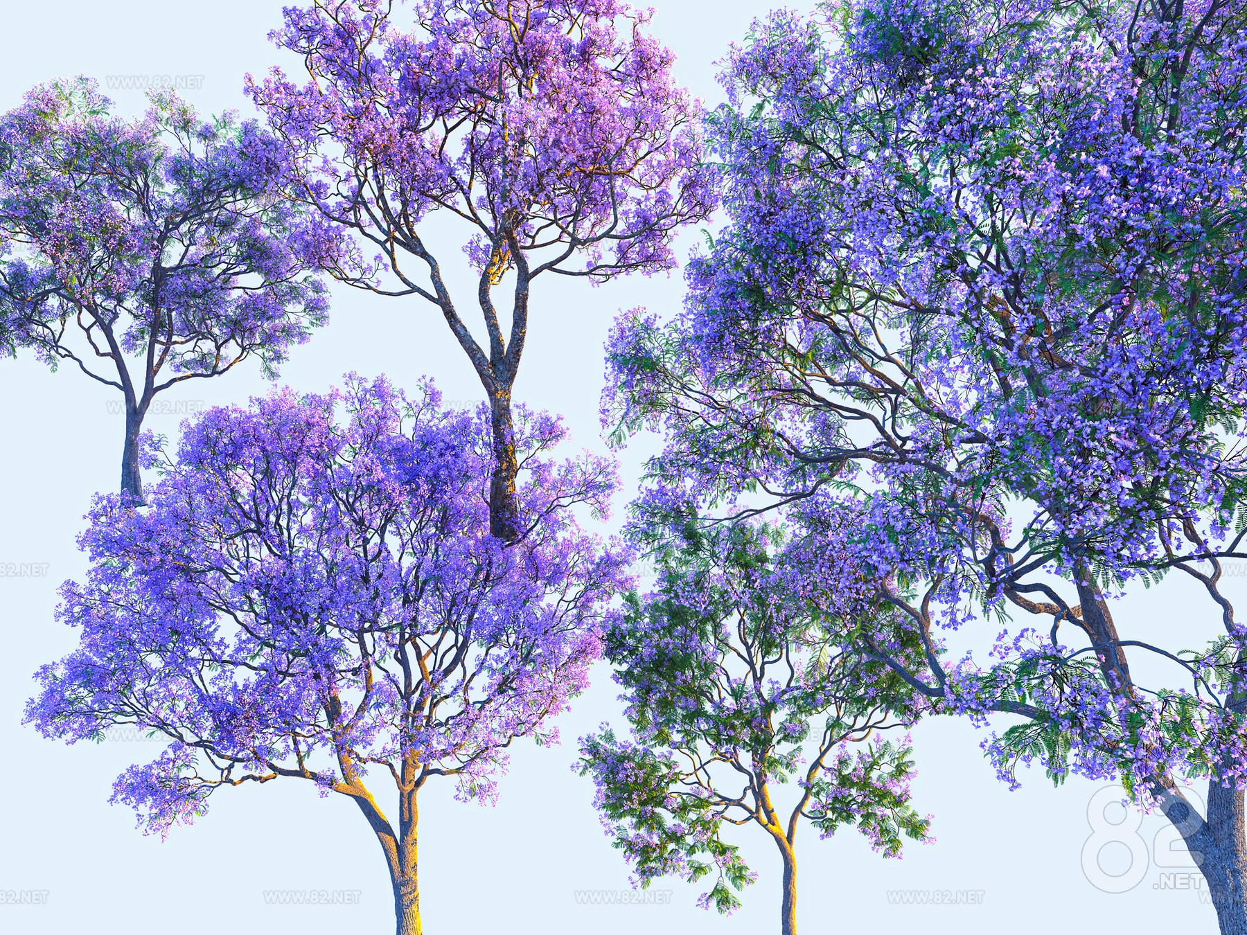 purple landscape tree plant 3d Model max | 82Models