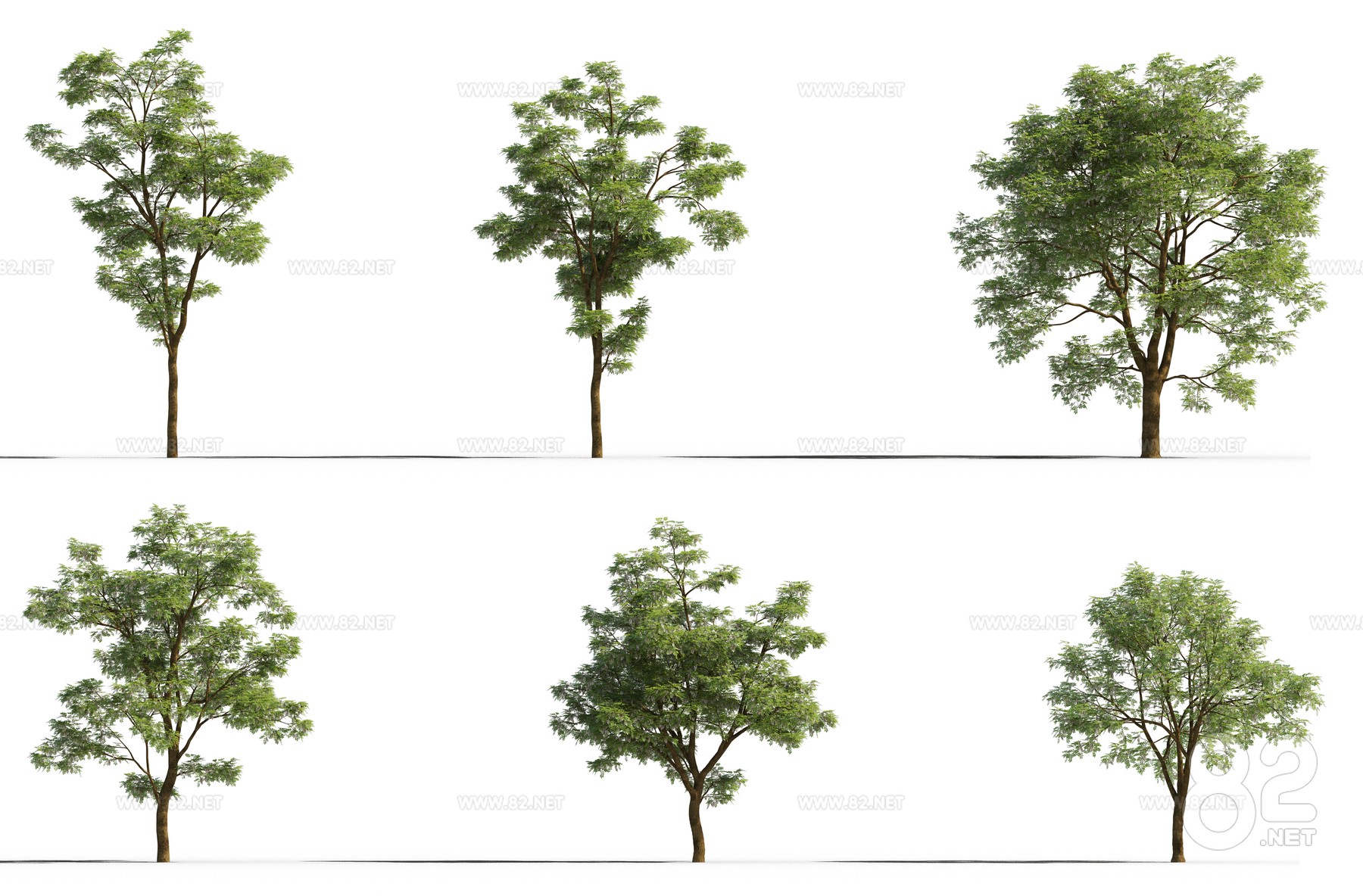 Landscape Tree Residential Landscape Tree 3d Model max | 82Models