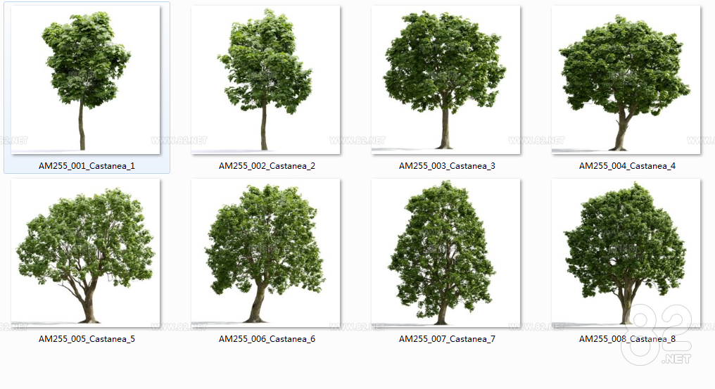 8 Big Trees Big Trees 3d Model c4d | 82Models