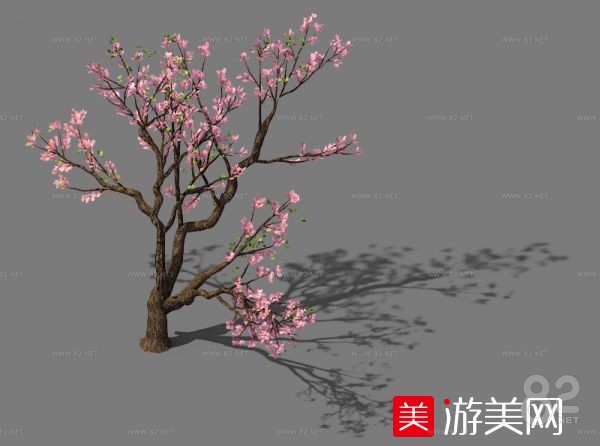 peach blossom tree download 3d Model max | 82Models