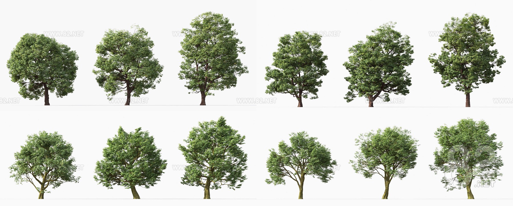 Landscape Tree Residential Landscape Tree 3d Model max | 82Models