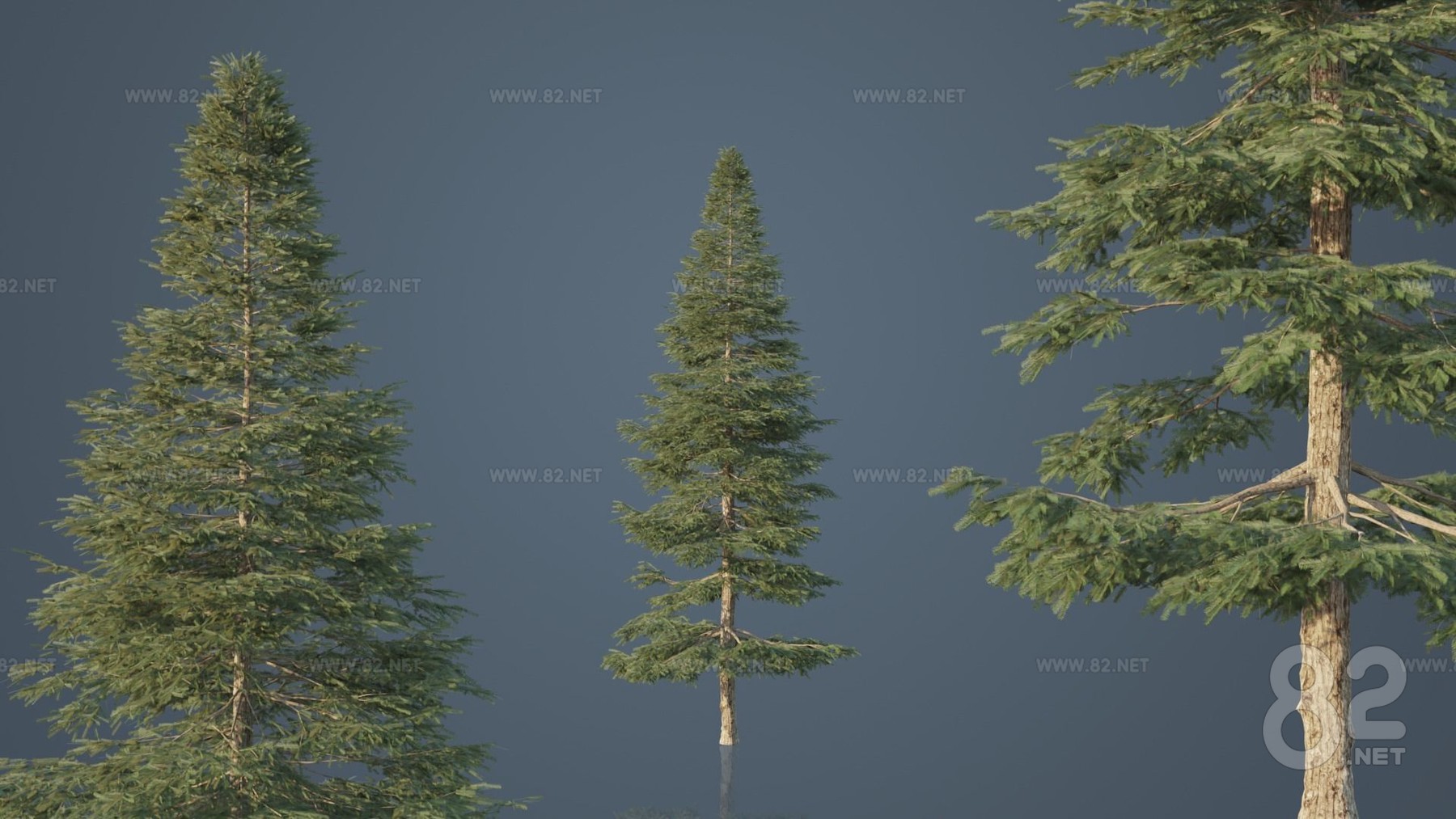 Redwood Tree Realistic Style 3d Model blend fbx obj | 82Models