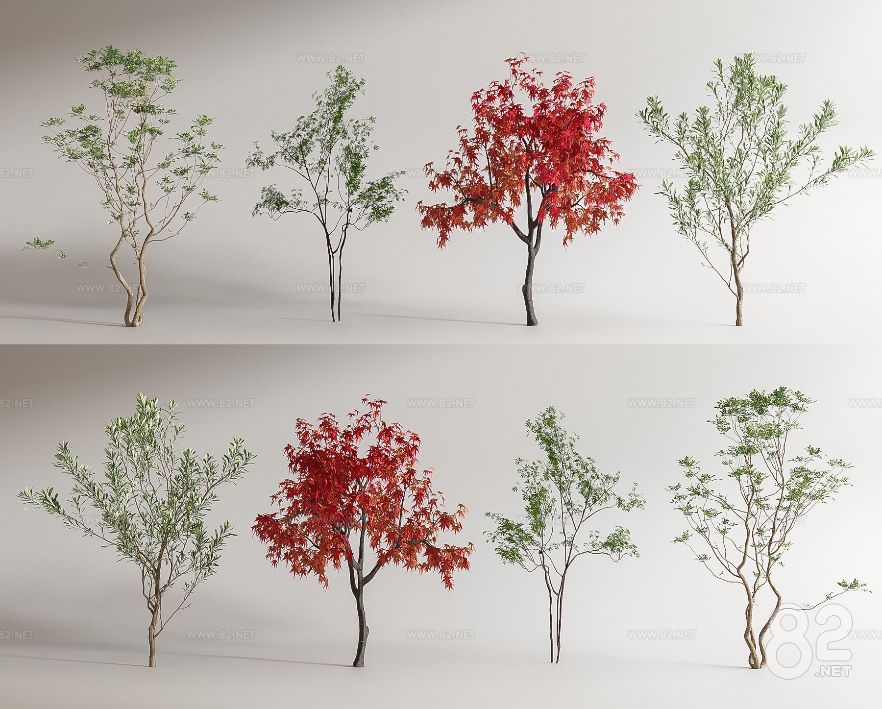 arbor landscape tree 3d Model max | 82Models