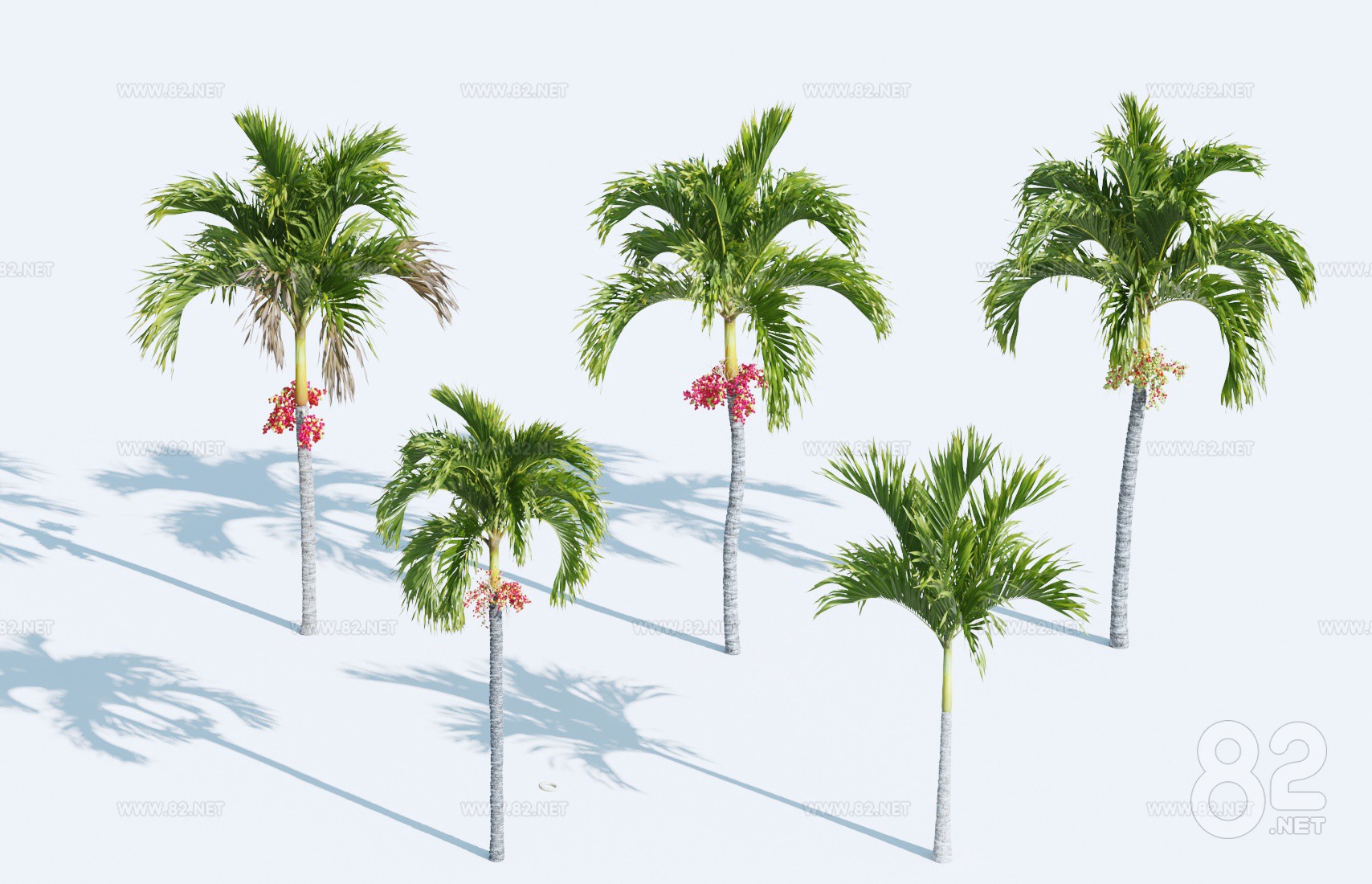 Tropical Trees 3d Model max | 82Models
