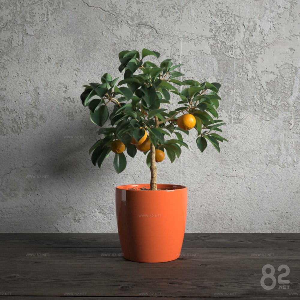 potted plant 3d Model max | 82Models