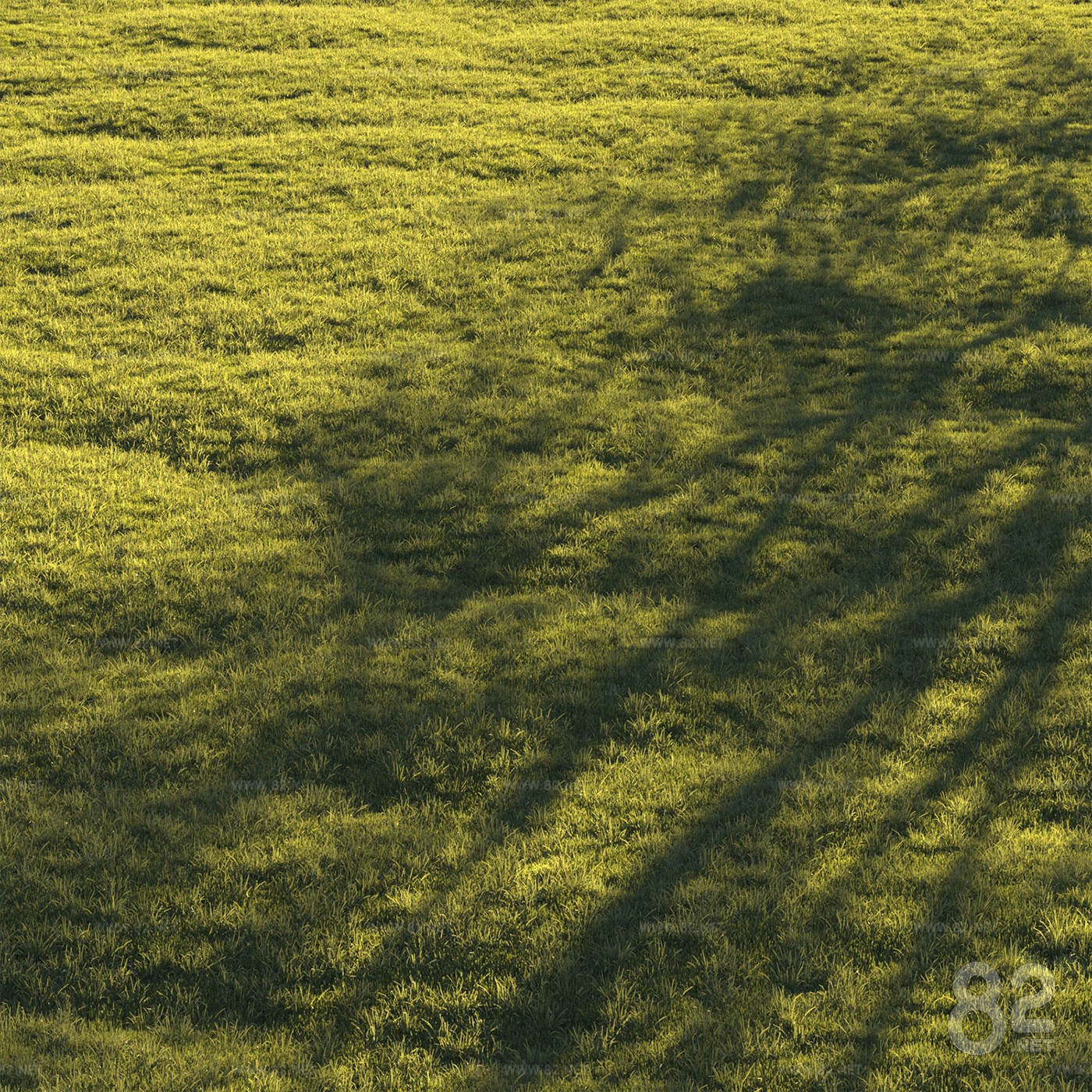 grass lawn 3d Model max | 82Models