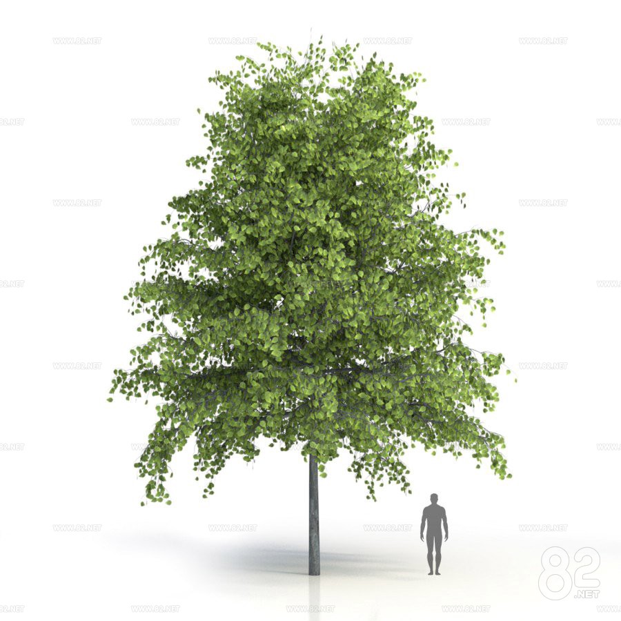 plant tree 3d Model max | 82Models
