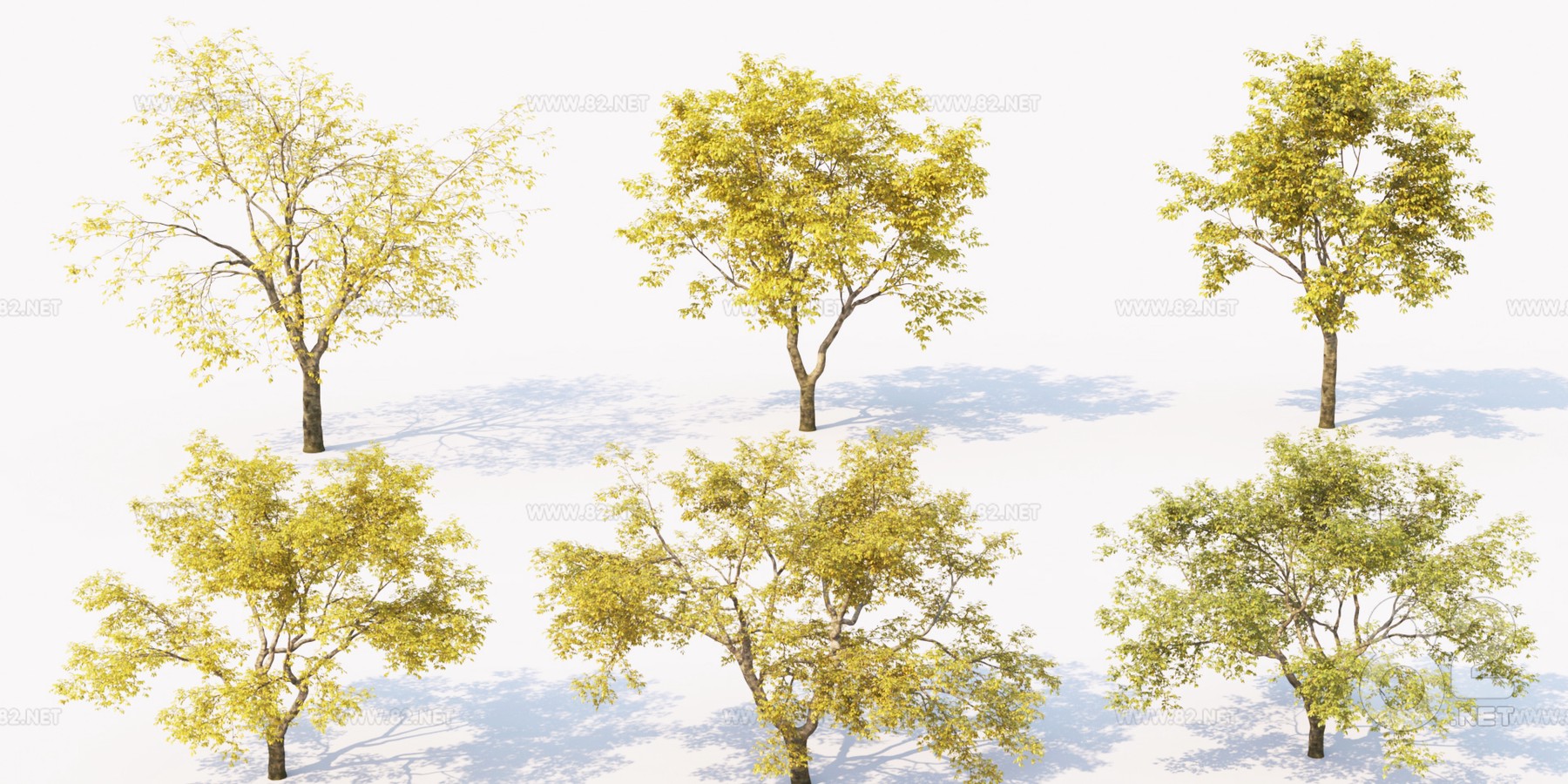 Modern Autumn Tree Plants 3d Model max | 82Models
