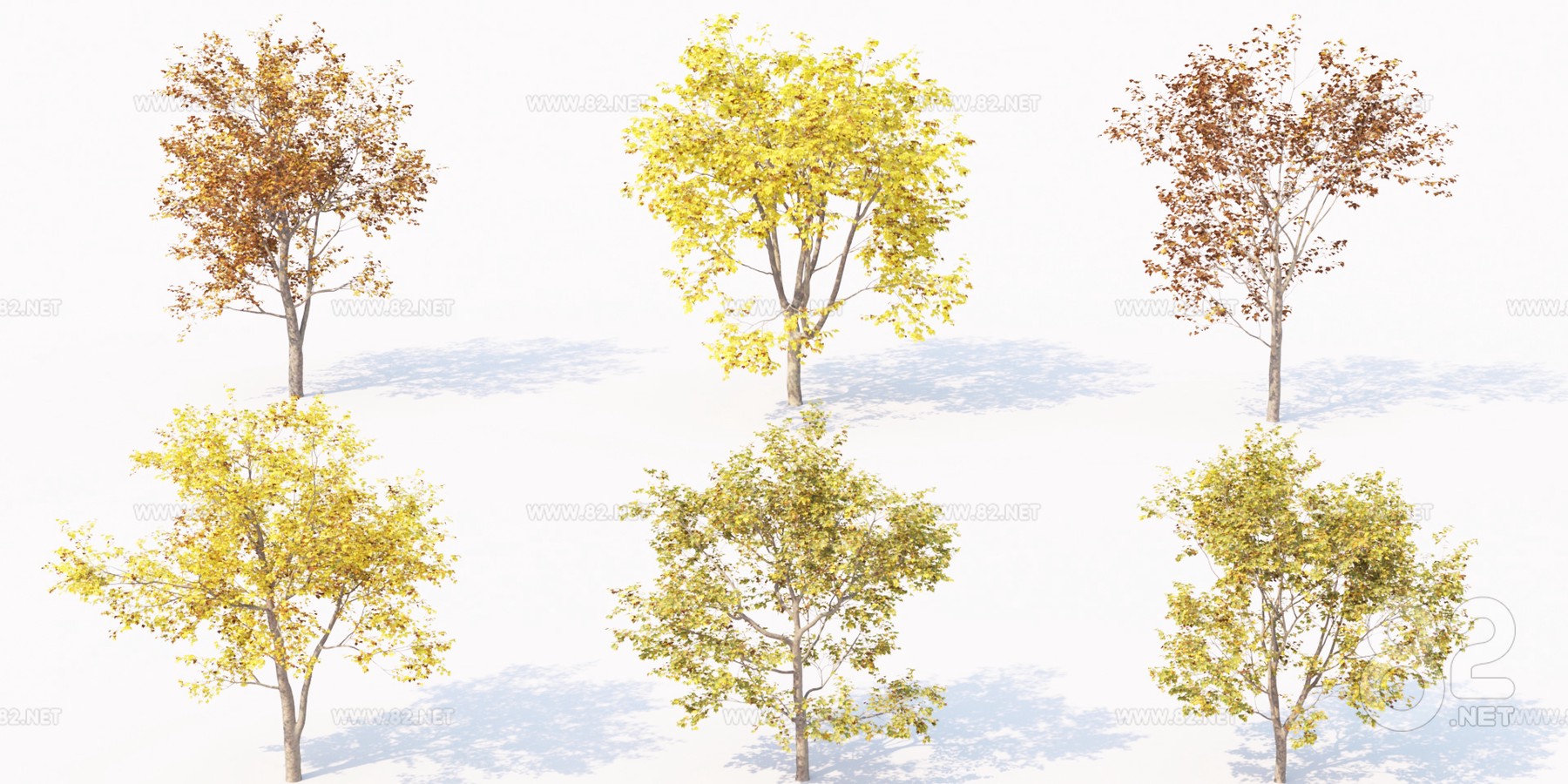 Modern Autumn Plants Trees 3d Model max | 82Models