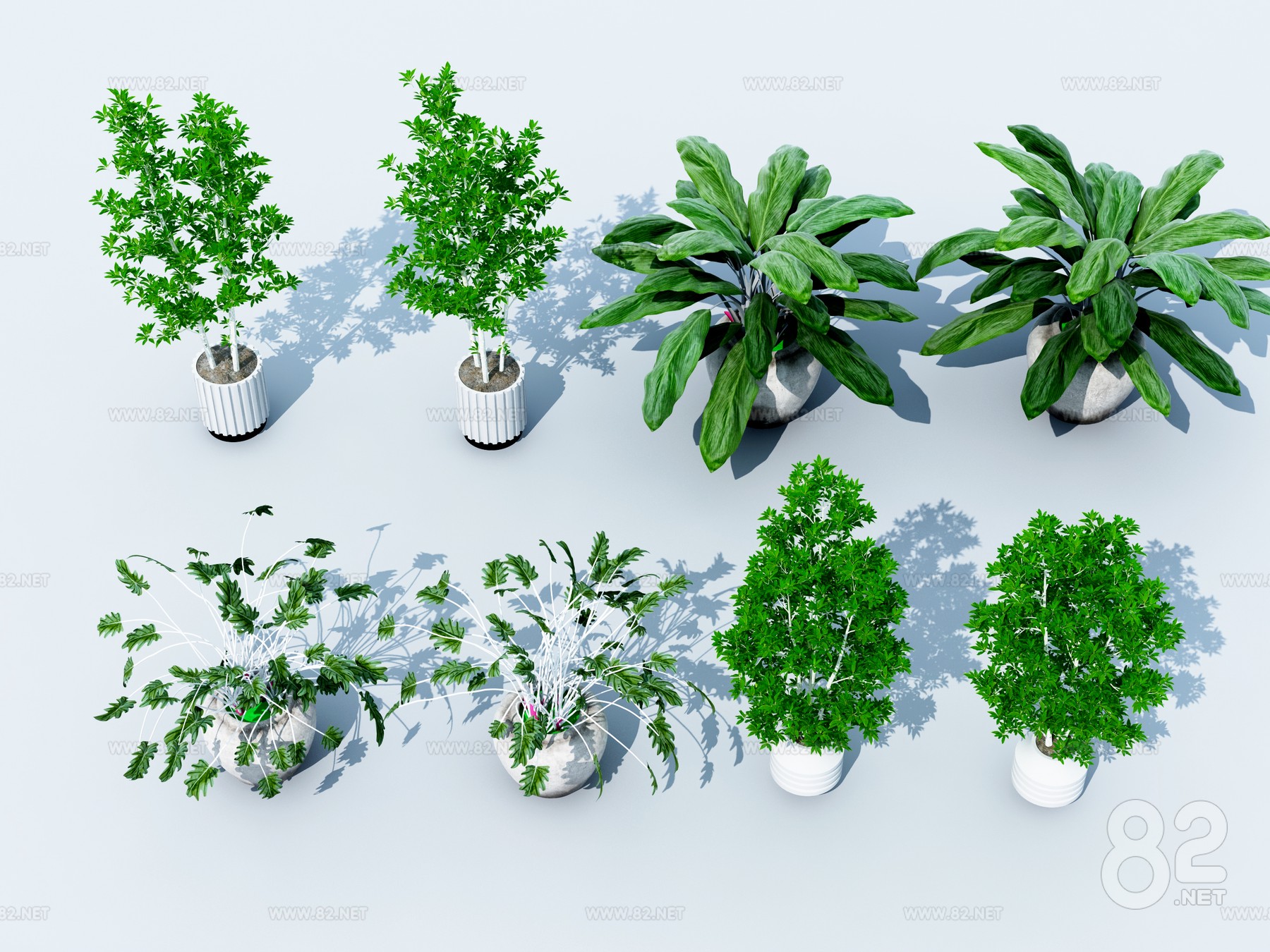Modern Potted Plant 3d Model max | 82Models