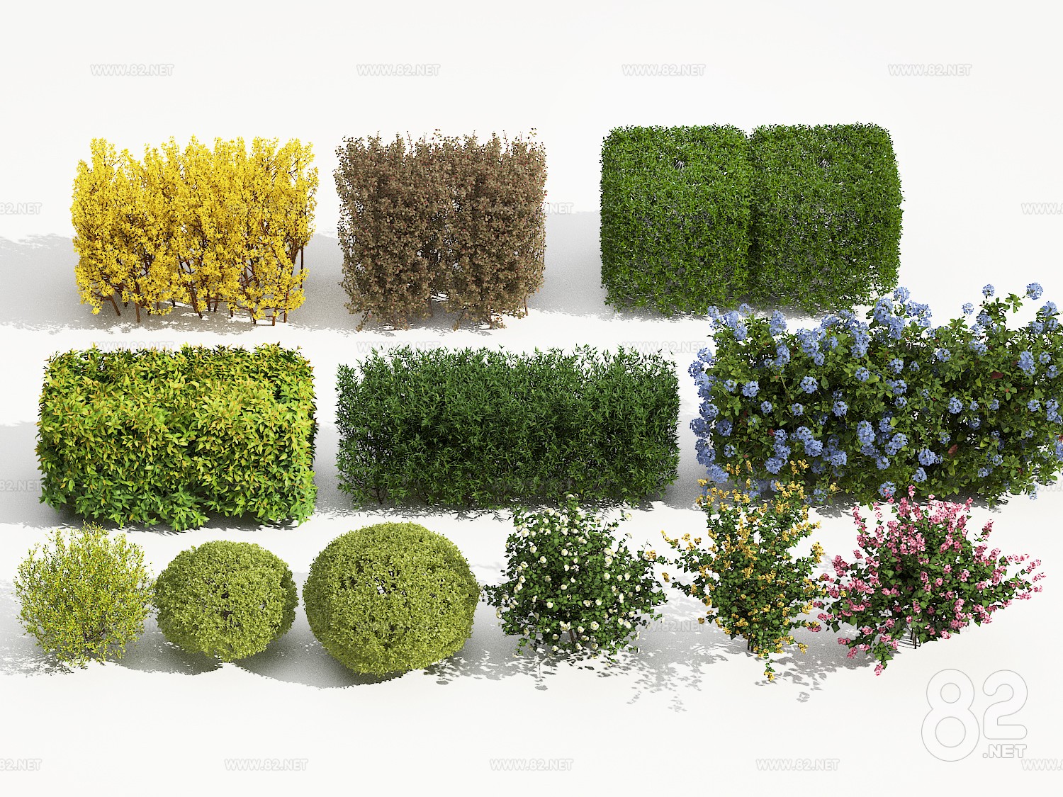 green tree shrub 3d Model max | 82Models