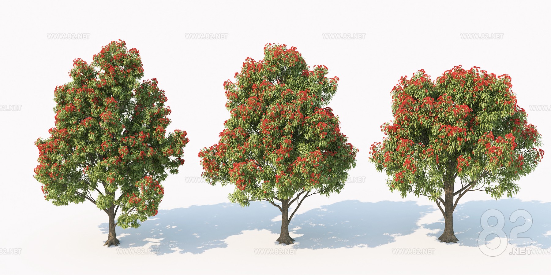 Modern Rose Tree Plant 3d Model max | 82Models