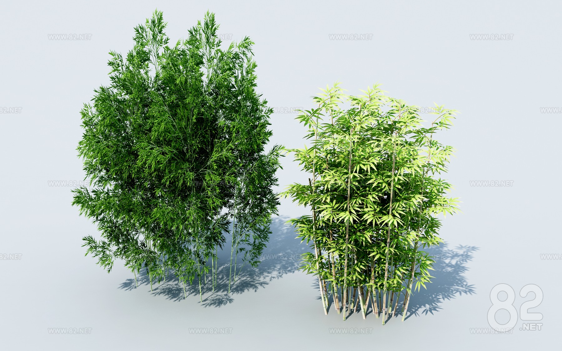 Modern bamboo 3d Model max | 82Models