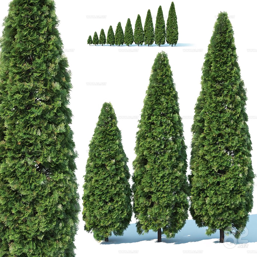 Modern Road Landscape Tree Plants 3d Model max | 82Models